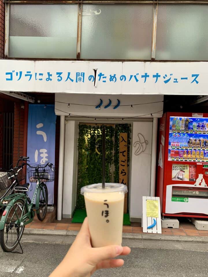 Vegan Restaurants in Kyoto, Japan - Rhian's Recipes